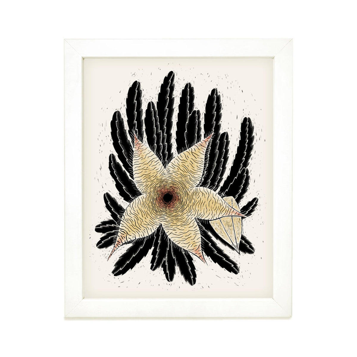 Stapelia Gigantea Art Print – Wit & Whistle