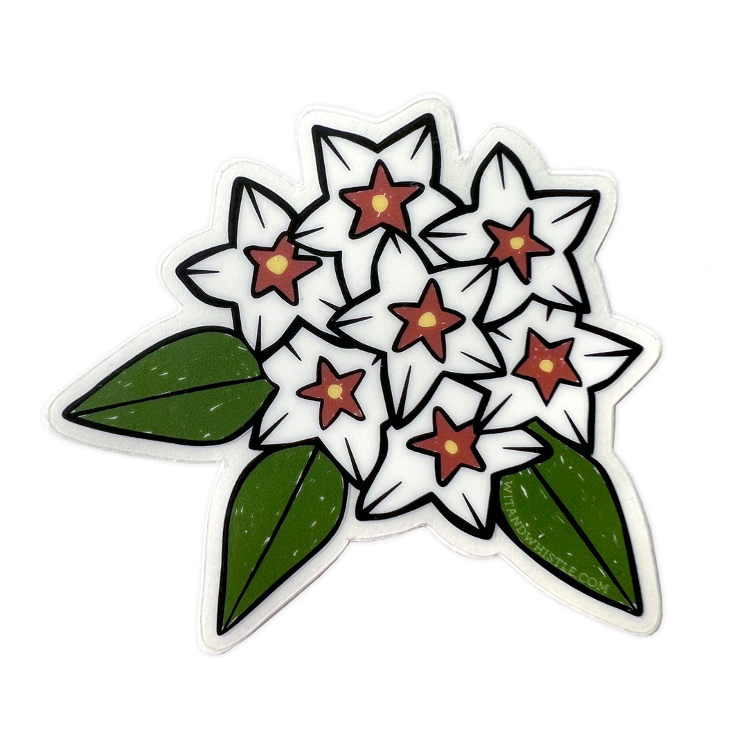 Hoya Bella Sticker – Wit & Whistle