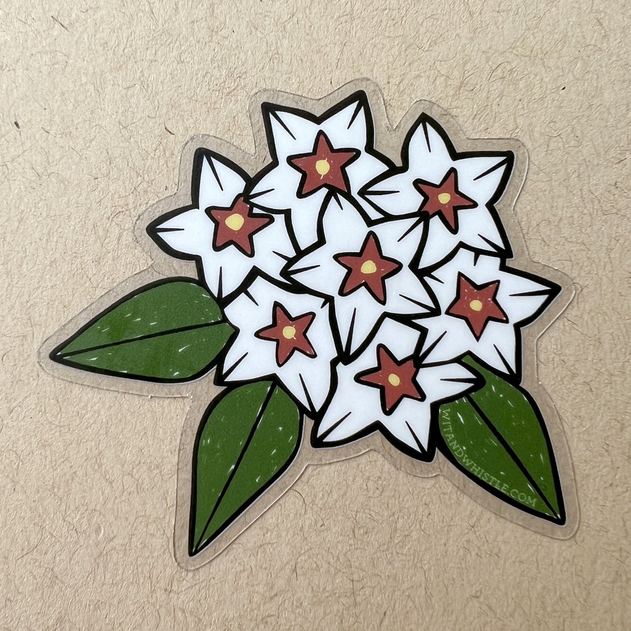 Hoya Bella Sticker – Wit & Whistle